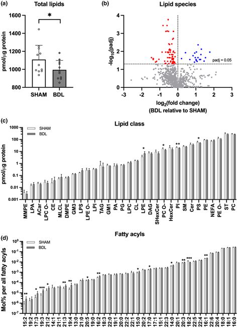 Lipid Profile Of The Cerebellum A Total Lipids B Lipid Species Download Scientific