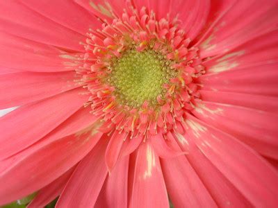 Post Why Soo Serious Tumblr Com Tumbex Post Why Soo Serious Tumblr Com Tumbex