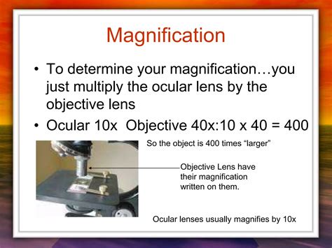 Q2 Module 1 2 Microscope Ppt Photography Arts And Crafts