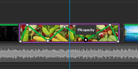 How Do I Adjust The Color And Opacity Of A Clip WeVideo