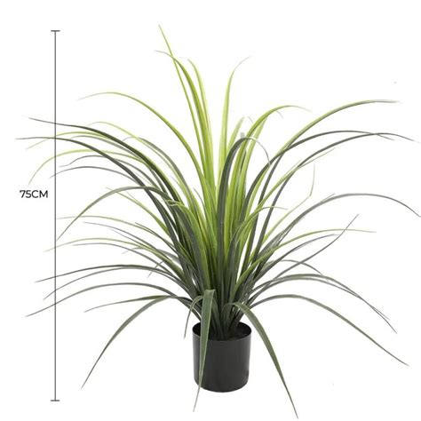 Potted Artificial Long Grass Yucca Grass 75cm