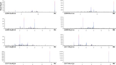 the plot showed the distribution of coverage of illumina short reads