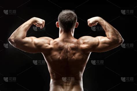 健美身材男人巨大的后背男子气概水平画幅努力人类肌肉运动员活力素材 花瓣网