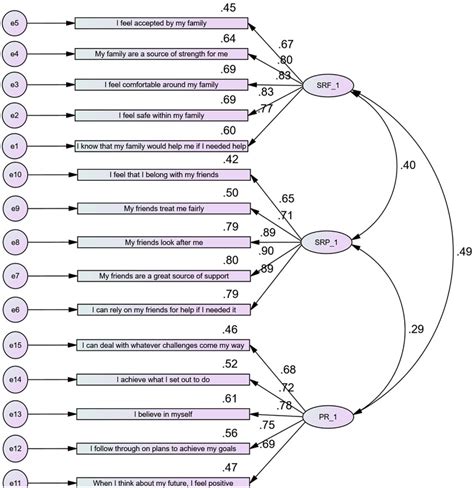 Confirmatory Factor Analysis With Factor Loadings For The Three