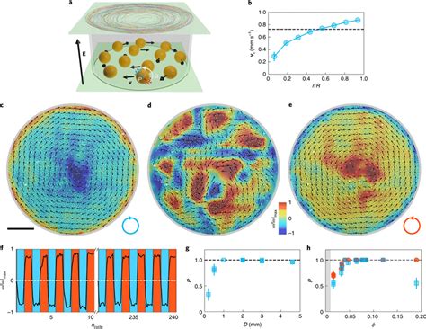 Vortex Chiral State Reversal Induced By A Temporal Modulation Of