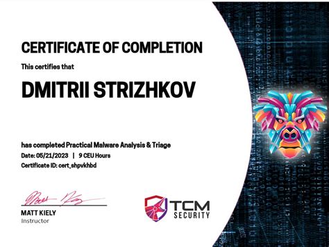 Dmitrii S On Linkedin Practical Malware Analysis And Triage Course Dmitrii Zamrax Strizhkov