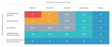 New Standards For Cnv Classification Have Arrived