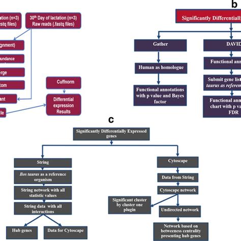 Workflow Of Rna Seq Data Analysis Identification Of The Significantly