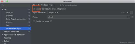 Build Command Line Arguments Cannot Load Xxx Cannot Find Module Providing Package Goland包导入问题