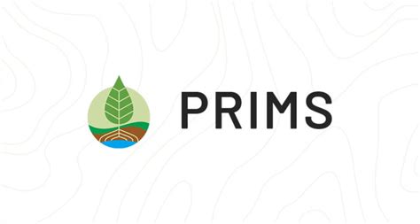 PRIMS Pranata Informasi Restorasi Gambut Dan Rehabilitasi Mangrove Fadhli Zakiy