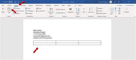 Best Resume Headers For 2024 Examples Templates