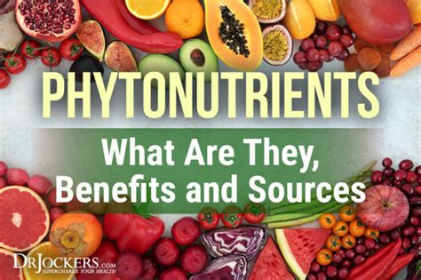 Phytonutrients What Are They Benefits And Sources