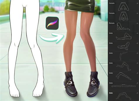 Legs Procreate Stamps Graphicsbunker
