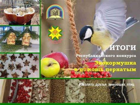 Подведены итоги республиканского конкурса «Экокормушка в помощь ...