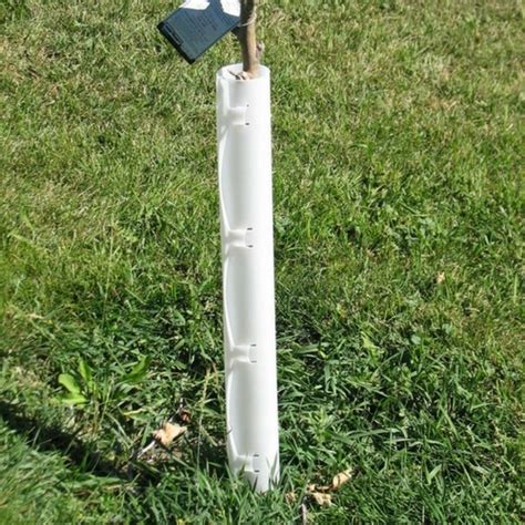 Tree Protector Set Of Grow It Now