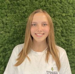 Treeapp Blog 10 Reasons Why Trees Are Important