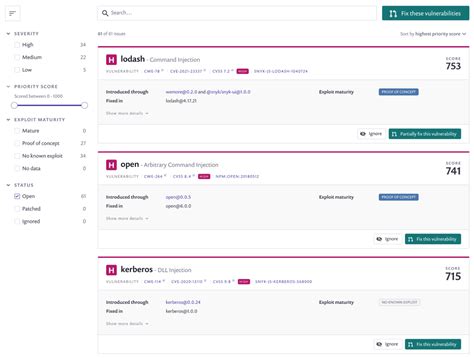Snyk S New Vulnerability Cards Fix Issues Fast With A New Look And Feel Snyk