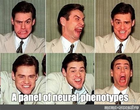 Meme A Panel Of Neural Phenotypes All Templates Meme