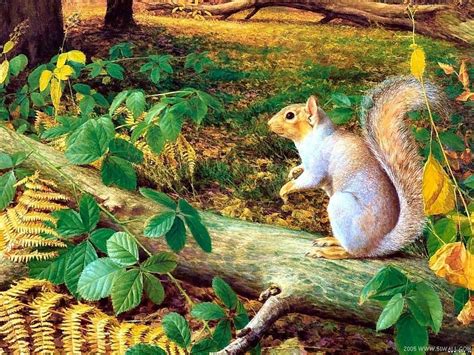 Животные в лесу рисунок (много фото) - drawpics.ru