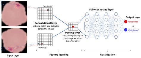 Applying Machine Learning To Healthcare Operations Management Cnn Based Model For Malaria Diagnosis