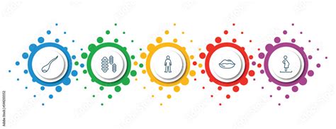 editable thin line icons with infographic template infographic for