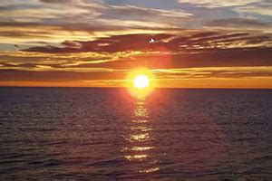 Sexuality And MS MS International Federation