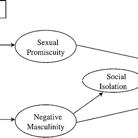 Confluence Model Depicting Antecedents Of Sexually Coercive Behavior In Download Scientific