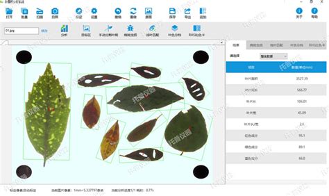 智能叶面积测量仪 Ymj Pc 杭州托普仪器有限公司