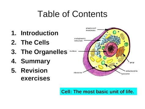 Ppt Basic Cell Structure Learn More Dokumen Tips