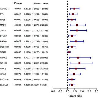 Identification Of Differentially Expressed Genes A Heatmap Revealed Download Scientific