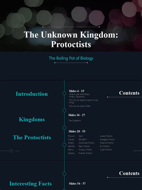 Sci Ppp Biology Term 1 Protists Pdf Cell Biology Eukaryotes