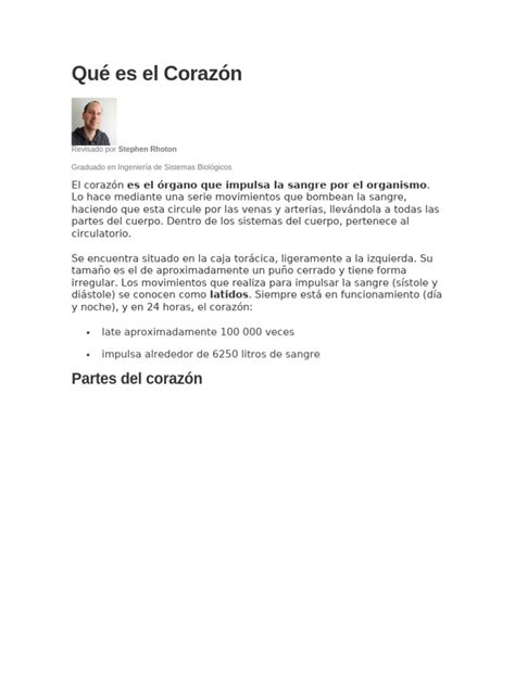 Definición Y Función Del Corazón Pdf Ventrículo Corazón Corazón