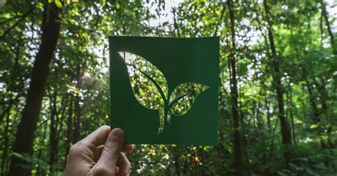 exploring eco fiction how contemporary literature reflects