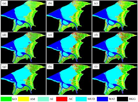 Mangrove Species Classification Using Svm Ac Random Forest Df