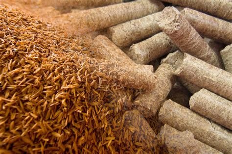 What Are Differences Between Feed Pellet And Traditional Feed Mikim