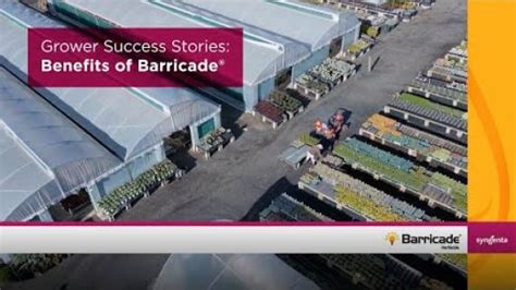 Barricade Herbicide Syngenta Ornamentals Anz