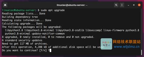 如何在 Linux 中使用 apt 命令管理包 云社区 华为云