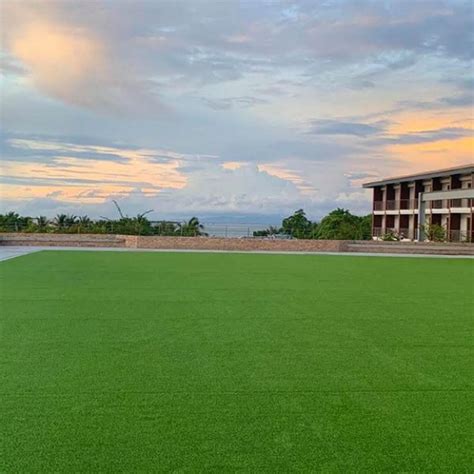 Manilas Green Makeover Embracing Artificial Grass Solutions