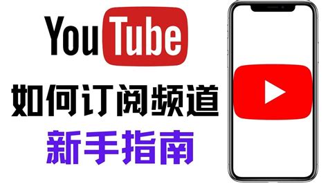 油管新手攻略，如何订阅别人，怎么取消订阅频道，youtube怎么看订阅者订阅内容分类 Youtube