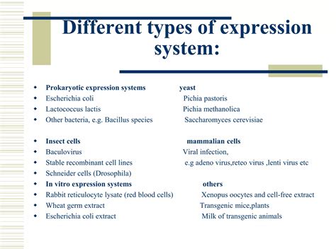 Expression System Final Pptx Programming Languages Computing