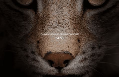 How To Update TerraMaster NAS TOS 6 Operating System Virtualization Howto