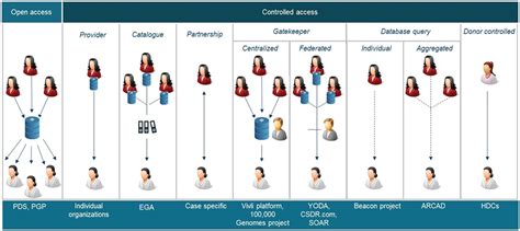 qualitative data analysis framework source biggam 2008 p 118