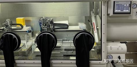 美格基因x厌氧生物 联合重磅推出 高通量细菌分离培养服务”! 知乎 美格基因x厌氧生物 联合重磅推出 高通量细菌分离培养服务”! 知乎