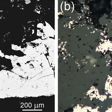 A Hypidiomorphic Grains Of Grimmite Grey Closely Associated With