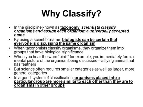 Classification Each Person Might Divide These Shells Into Different Categories Scientists Often