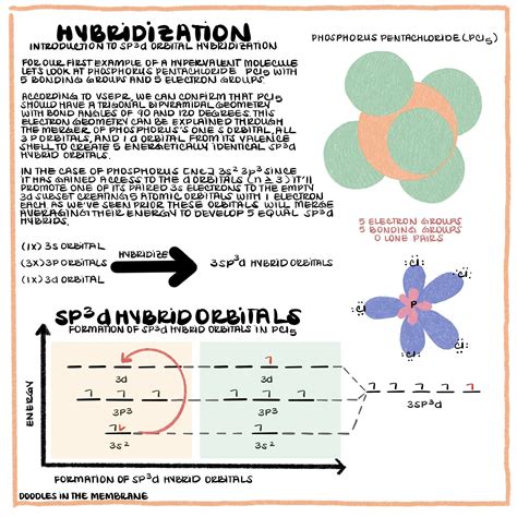 Trigonal Bipyramidal Hybridization