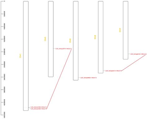 Chromosomal Locations And Gene Duplication Events Of Ossrs The Scale