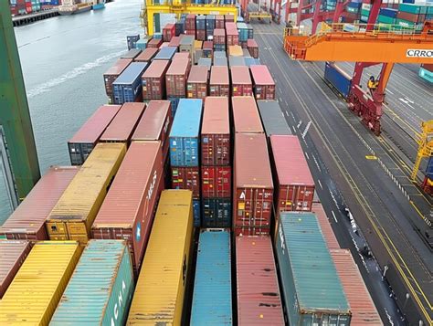 Optimizing Global Distribution A Deep Dive Into Container Loading