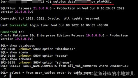 Linux安装oracle Client Csdn博客