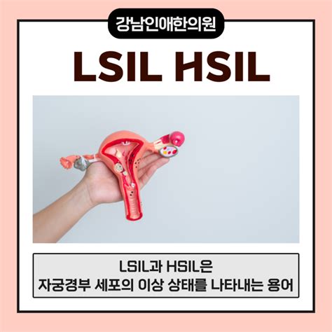 자궁경부암 Lsil Hsil Cin 뜻 단계 비교 검사 결과 해석 총정리 네이버 블로그